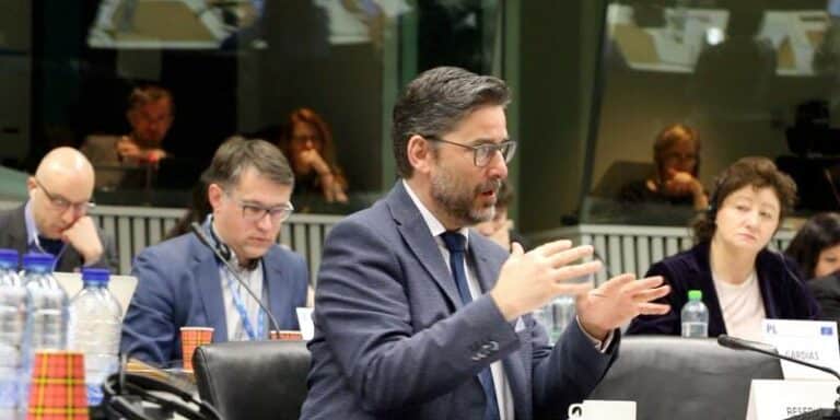 Women with Disabilities (in the EU): Situation and Way Forward ...